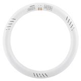 หลอด LED PHILIPS Circular 20 วัตต์ COOLDAYLIGHT G10q