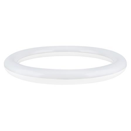 หลอด LED PHILIPS Circular 20 วัตต์ COOLWHITE