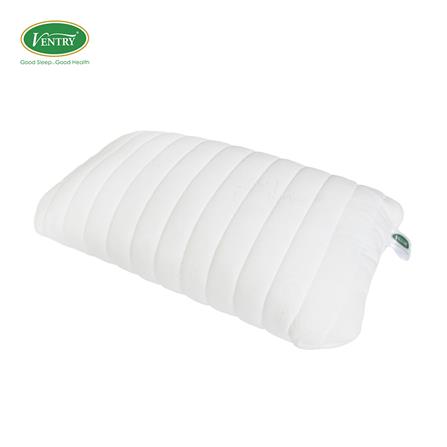 หมอนสุขภาพ LATEX VENTRY COMFORT