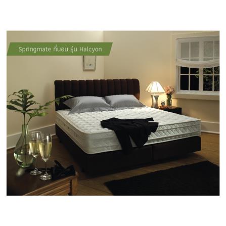 ผลการค้นหา | springmate