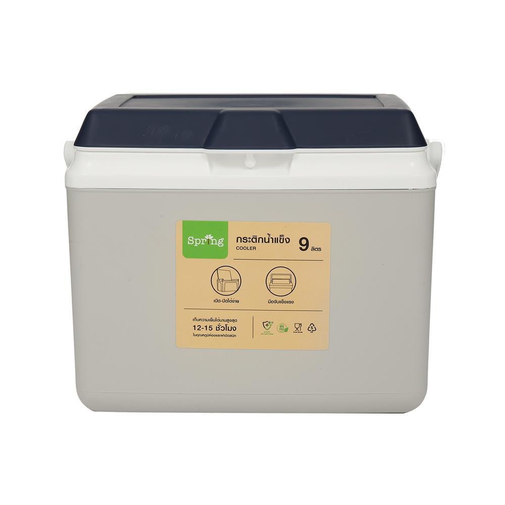 COOLER SPRING 9L GREY/BLUE