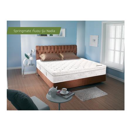 ผลการค้นหา | springmate