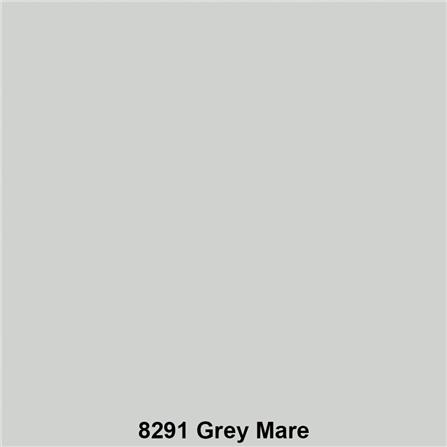 สีน้ำทาภายนอก TOA SUPERSHIELD ADVANCE สี GREY MARE #8291 เนียน 9 ลิตร