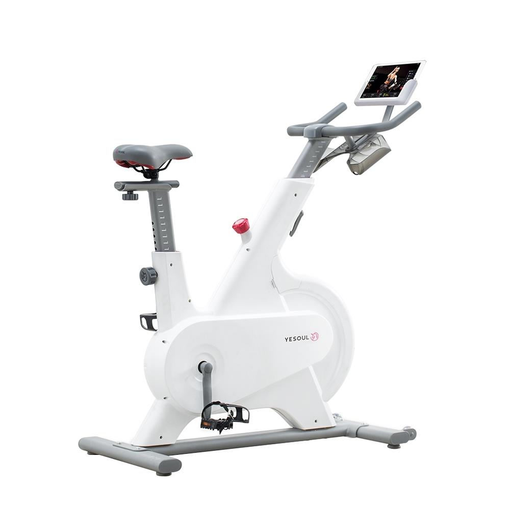 EXERCISE BIKE YESOUL YS-M1 WHITE