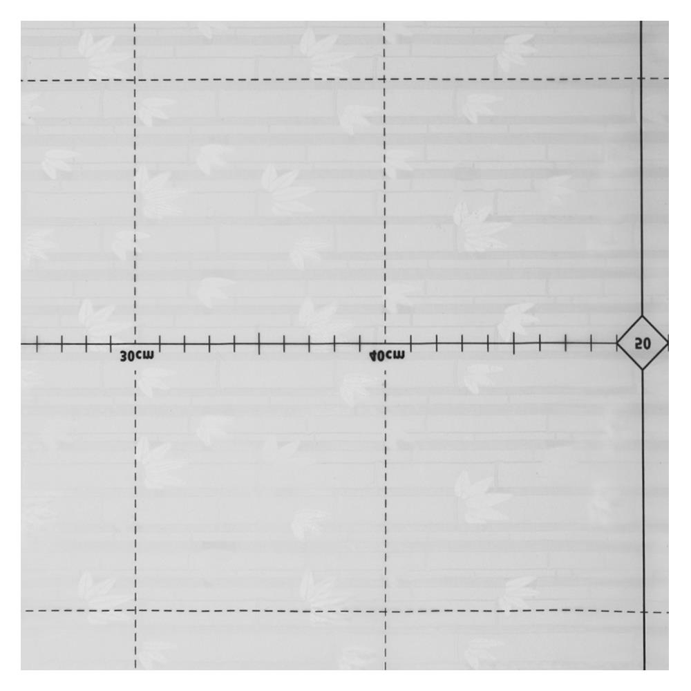 สติ๊กเกอร์ ME LIVING D054 45X500 ซม.