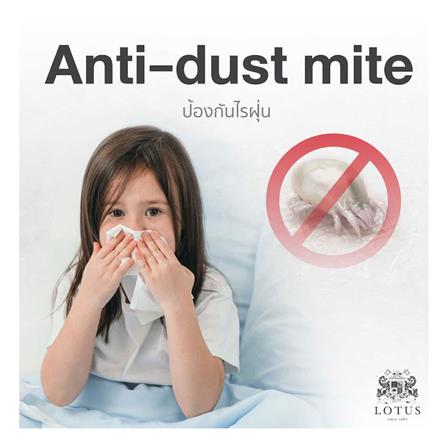 ที่นอน 6 ฟุต LOTUS SPRING FREE I PLUS พร้อมหมอนหนุน 2 ชิ้น