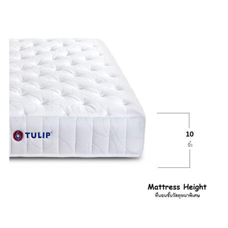 ที่นอน 6 ฟุต TULIP VICTORIA