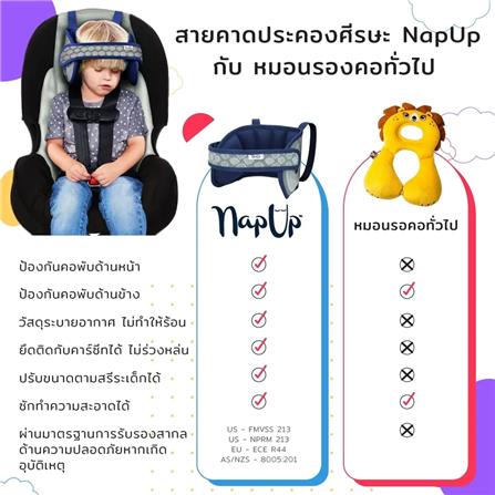 ผลการค้นหา | nap up
